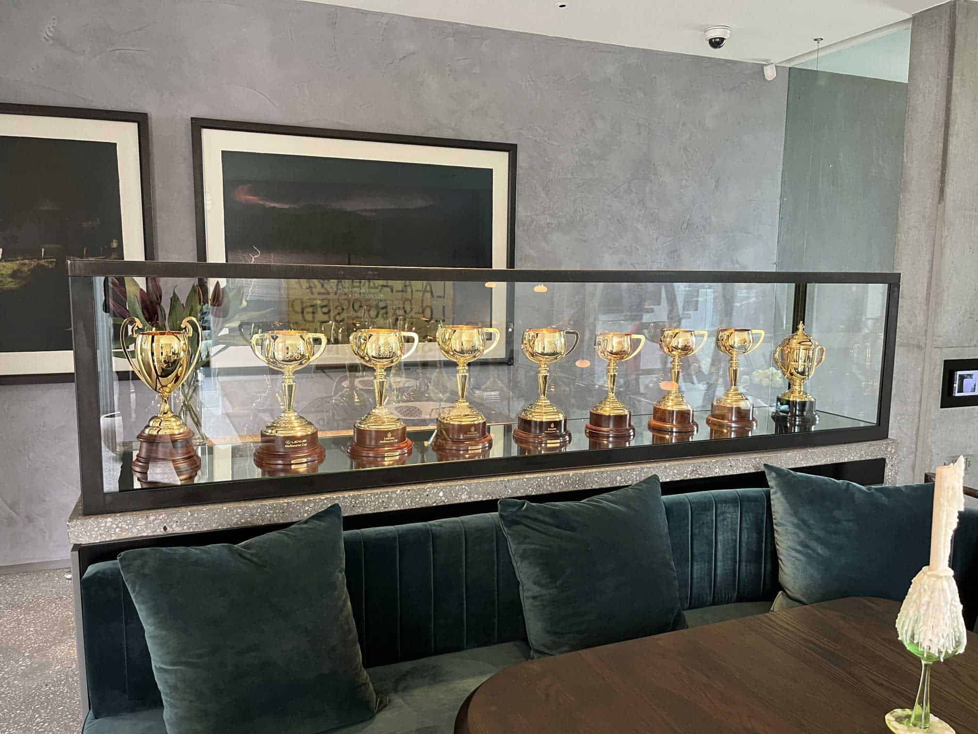 Museum Display Cases and Museum Showcases